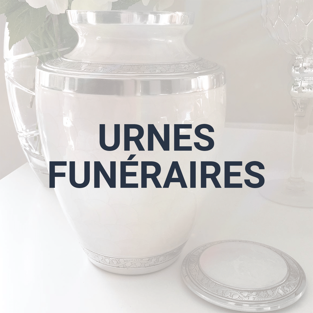 Urnes | Urnes Dépôt
